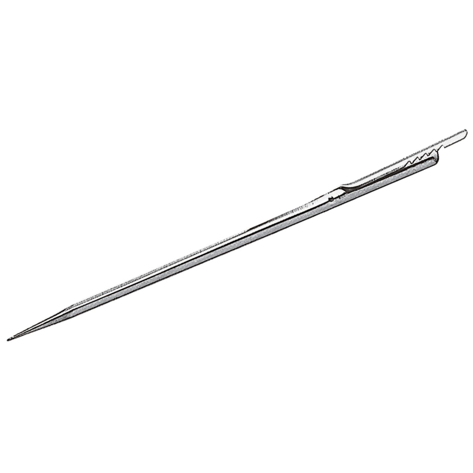 Larding and lacing needle with flap, Steel, Kitchen, Pastry & Bar ...
