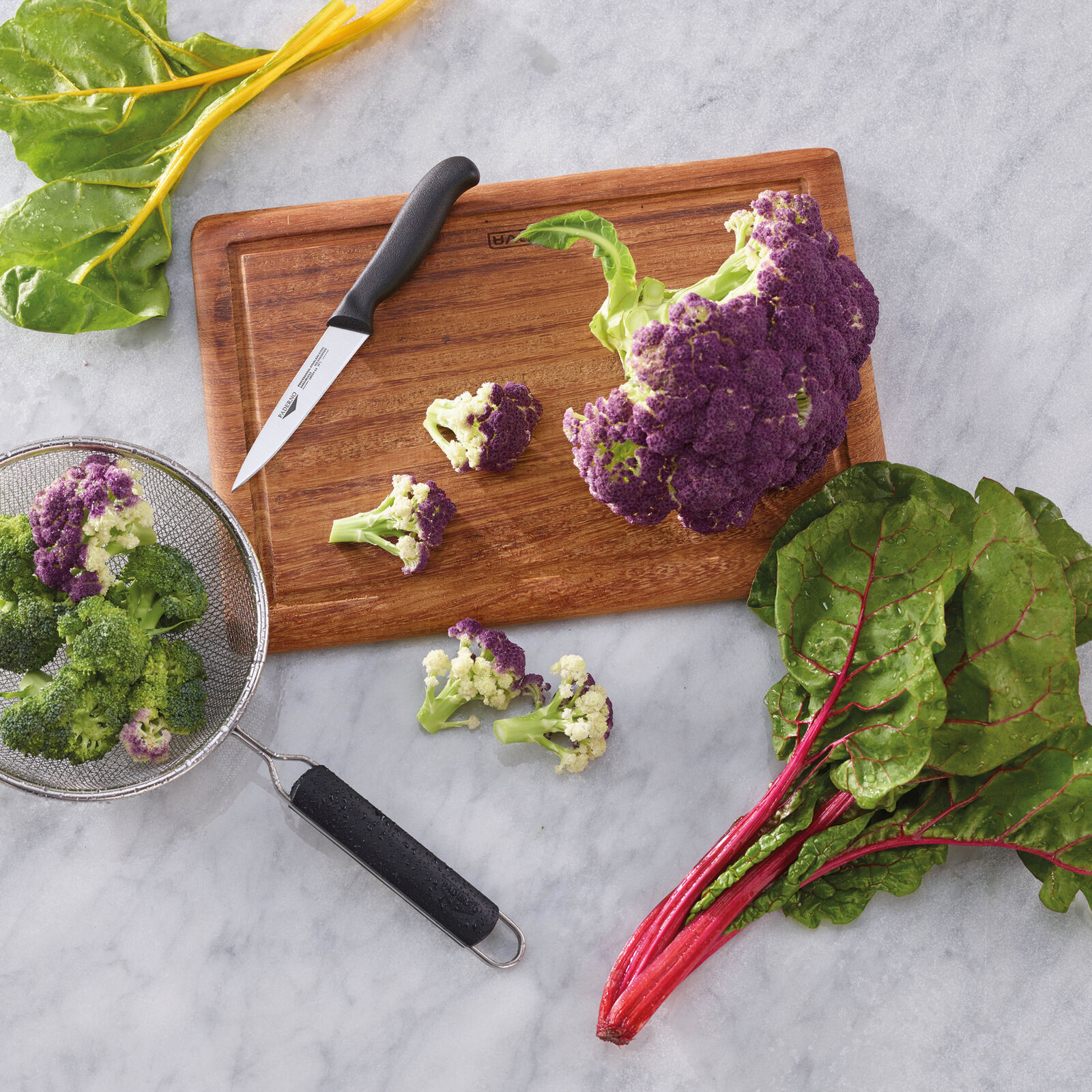 Paring knife , Black, Stamped Knives Series 18000, Paderno